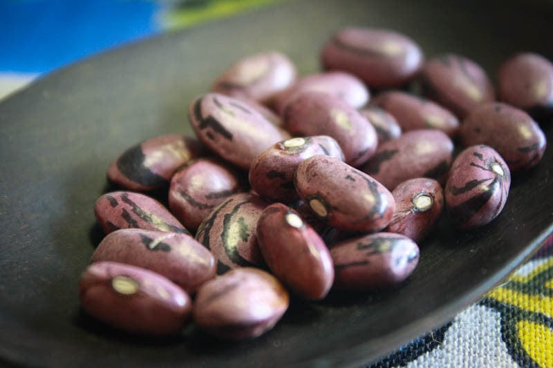 Rancho Gordo Rio Zape Beans - 1 lb. | Toque Blanche