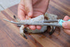 Toadfish Outfitters Shrimp Cleaner – Toque Blanche